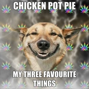 Stoner Dog, Philosoraptor, Bachelor Frog, and Stoner Sloth Memes Photo ...